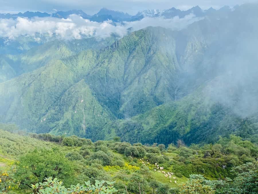 Panch Pokhari Trek in Nepal - Trekking Through Diverse Landscapes