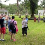 Panoramic Ocho Rios Heritage, Zipline and River Swim - What the Tour Includes and What to Keep in Mind