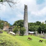 Panoramic Sightseeing Tour of St Kitts - Key Points