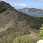 Panoramic View Adventure - A St. Lucian Easy Hike Tour - Why This Tour Offers Real Value