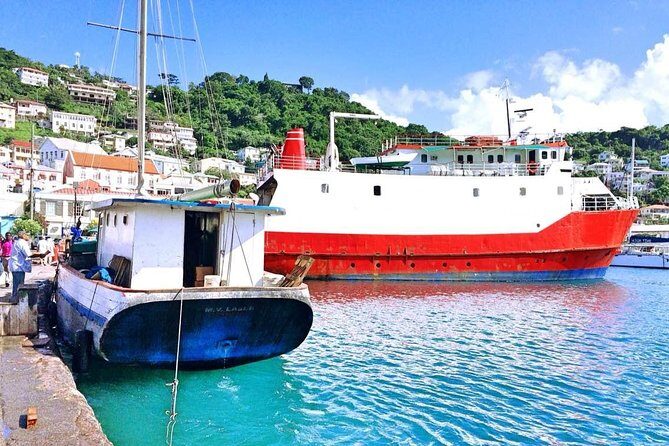 Paradise Cascades: Discover Grenada's Majestic Waterfalls Tour - Who Should Consider This Tour?
