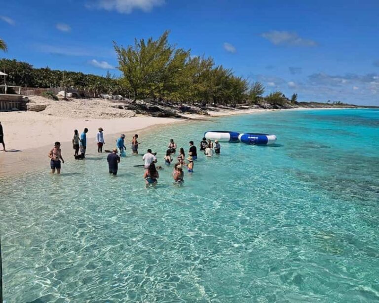 Paradise Found In Hog Haven: Ultimate Beach Escape - The Experience Versus the Price