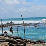 Paradise Galle Day Tours - What Makes This Tour Stand Out