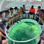 Paradise Island: Glass-Bottom Boat Tour with Live Commentary - What Does the Itinerary Look Like?