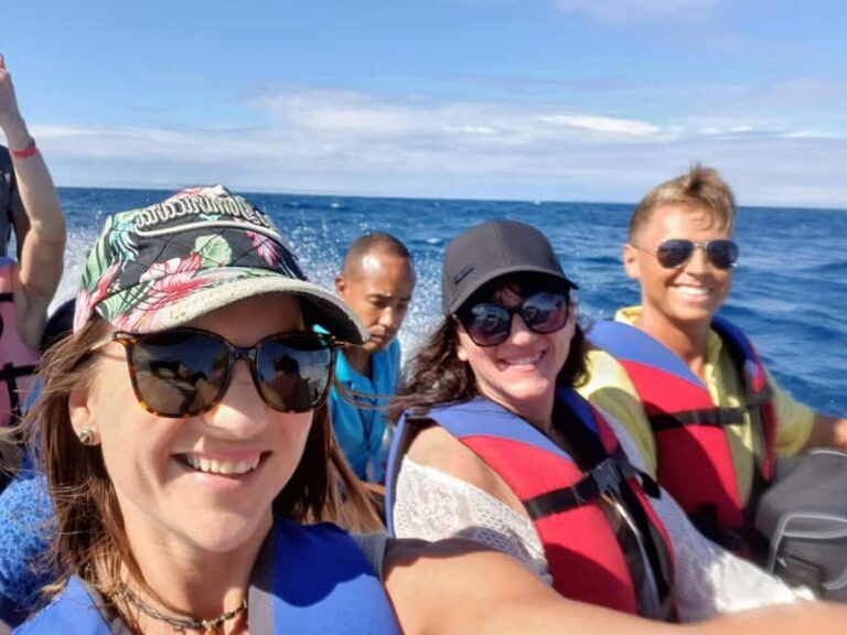 Paradise Island Private Tour, Snorkeling & Manatee Sanctuary - What Makes This Tour Stand Out