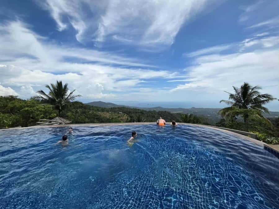 Paradise Park Farm Entry Ticket with Transfer - Evaluating the Value