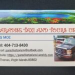 Paradise Taxi & Tours USVI- St. Thomas - Airport Transfer to Red Hook Ferry - Who Should Consider This Service?