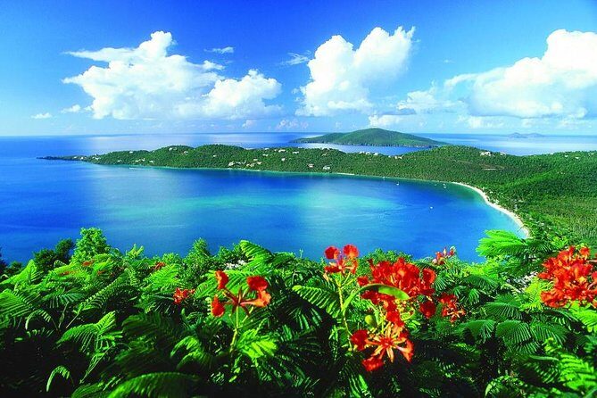 Paradise Taxi & Tours USVI - St. Thomas, Virgin Islands- Island Scenic Tour - Authentic Experiences and Real Traveler Insights