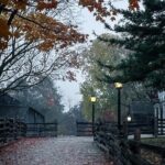 Paranormal Investigation Alone in the Dark at Black Creek - Why This Tour Is Worth It