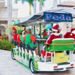 Party Bike Experience on Grace Bay Road - Authentic Experiences and Genuine Feedback