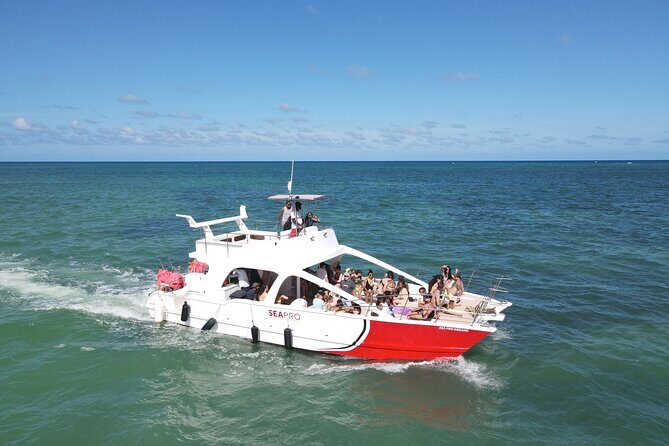 Party Boat Cruise from Punta Cana - Who Should Consider This Tour?