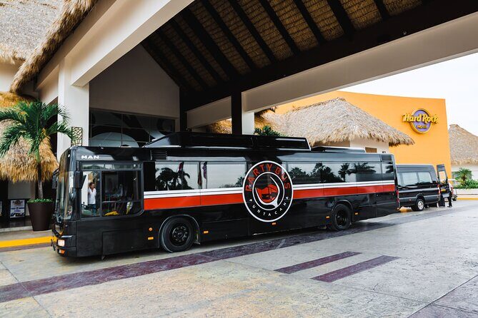 Party Bus Rental - Why the Party Bus Stands Out