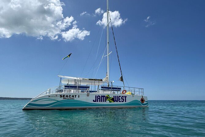 Party Catamaran Sunset Ricks Cafe Negril Open Bar and DJ - Food and Drinks: A Highlight