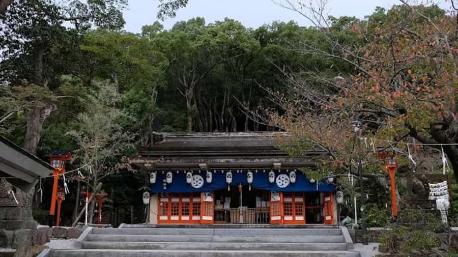 Paths of Serenity: Discover Nagasakis Quiet Adventures Tour - Practical Details and Value