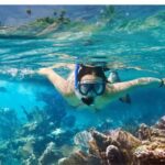 Pattaya Coral Island Adventure  Pattayas BestBeach Escape - What to Expect: The Itinerary Breakdown