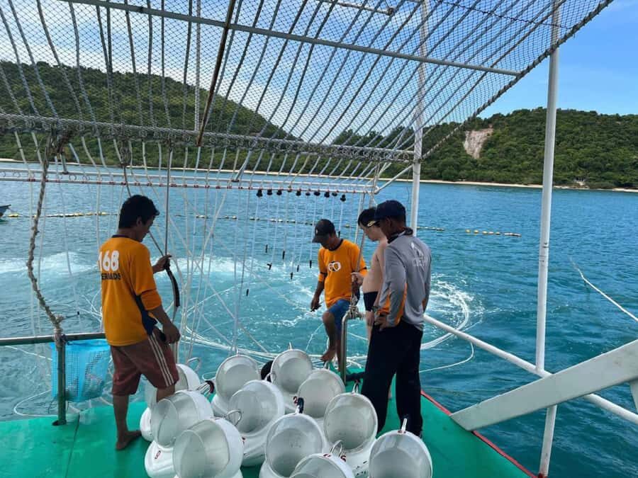 Pattaya: Underwater Sea Walking Experience - The Itinerary and What You Can Expect