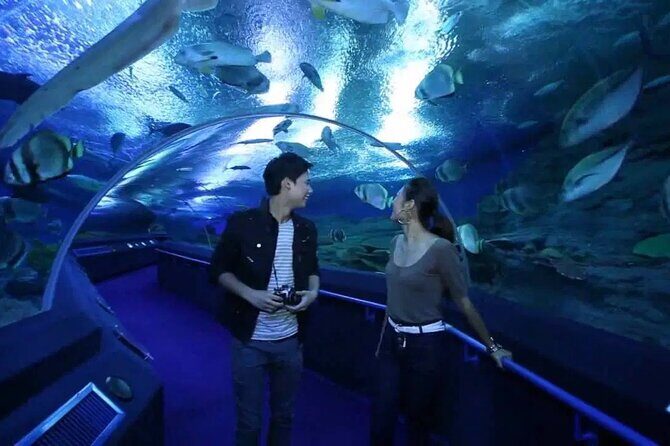 Pattaya Underwater World Admission Ticket - What’s Included in Your Ticket