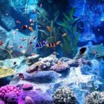 Pattaya Underwater World Tickets - What You Get with Your Ticket