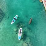 Peanut Island Sunrise Paddle Boarding Adventure - Who Would Love This Tour