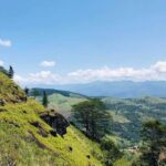 Pekoe Trail 1-5: Guided 7-Day Trek with Hotels & Transfers - The Experience in Detail: What Makes It Special