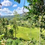 Pekoe Trail Stage 4 Guided Hike (Tawalantenne-Pundaluoya) - Exploring the Route: A Closer Look at Stage 4 of the Pekoe Trail