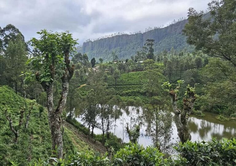 Pekoe Trail Stage 5 Guided Hike (Pundaluoya-Watagoda) - Who Would Enjoy This Tour?
