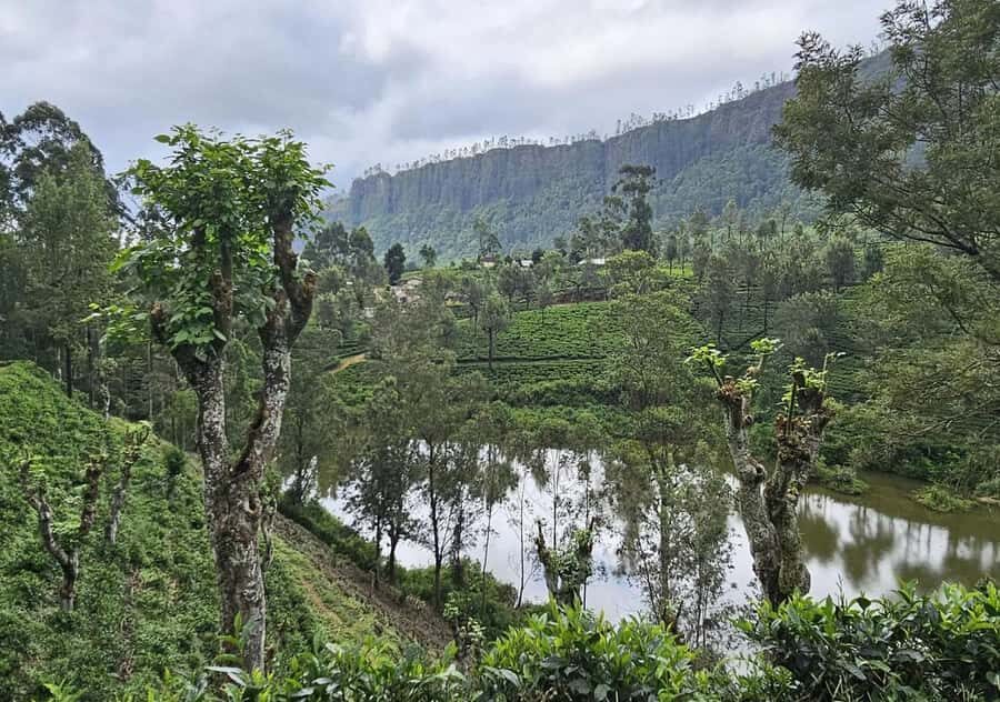 Pekoe Trail Stage 5 Guided Hike (Pundaluoya-Watagoda) - Who Would Enjoy This Tour?