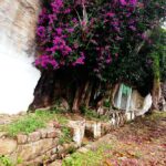 Pekoe Trail Stage 8 Guided Hike (Norwood-Bogawantalawa) - Who Will Love This Hike?