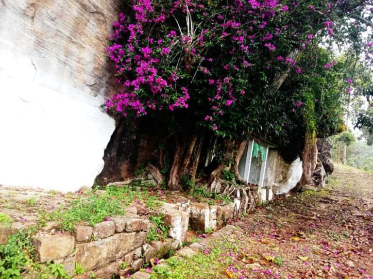 Pekoe Trail Stage 8 Guided Hike (Norwood-Bogawantalawa) - Who Will Love This Hike?