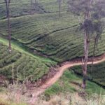 Pekoe Trail Stage 9 Guided Hike (Bogawantalawa-Dayagama) - The Route: What to Expect at Each Stop