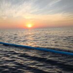 Pemuteran: Dolphin Watching Tour with Hotel Transfer - Why This Tour Offers Great Value