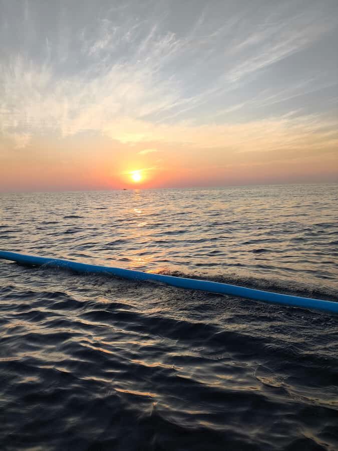 Pemuteran: Dolphin Watching Tour with Hotel Transfer - Why This Tour Offers Great Value