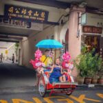 Penang: 3 hours Heritage Highlights Tours & Trishaw Ride - Transport & Comfort