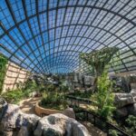 Penang City and Entopia Butterfly Farm Tour - Exploring Penang’s Cultural and Religious Heritage