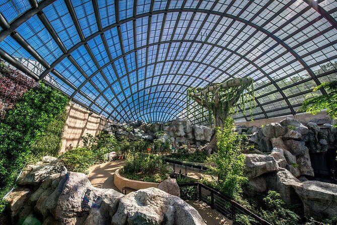 Penang City and Entopia Butterfly Farm Tour - Exploring Penang’s Cultural and Religious Heritage