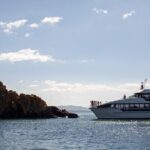 Peppermint Bay Cruise & Lunch - Who Will Love This Tour?