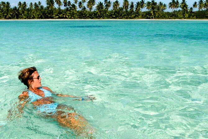 Perfect Day at Saona Island by Speedboat - Completely Private - What the Reviews Say