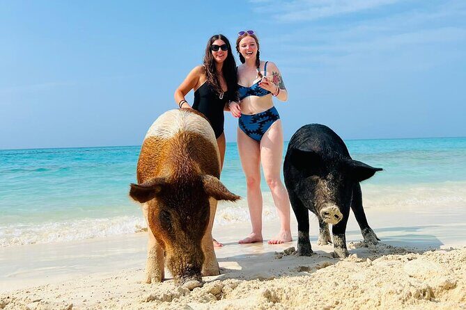 Perfect Day Swimming Pigs, Turtles, Reef Snorkel & Lunch - In-Depth Breakdown of the Itinerary