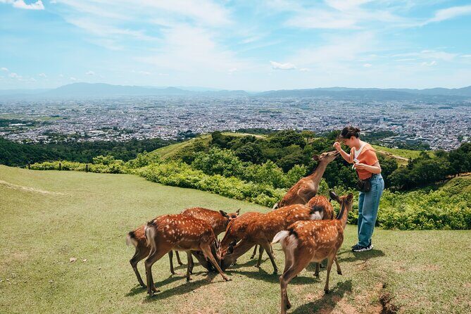 Perfect Nara Park Half-Day Bus Tour with English Speaking Guide - Exploring the Itinerary: What’s Included and What You’ll Experience