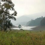 Periyar from Cochin - a Two Day Tour - What Travelers Say and Why It Matters