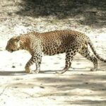 Personalised Ella & Sri Lanka Tours - Exploring Ella’s Natural Wonders