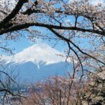 Personalized Mount Fuji Experience Customizable Full Day Trip - Analyzing the Value