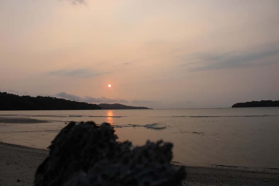 Peucang Island: 3-Day Ujung Kulon National Park EcoTour - What to Expect on Day 1: Arrival & Relaxation