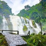 Pha Dok Siew Nature Trail & Doi Inthanon National Park From Chiang Mai - What to Expect: From Mountain Peak to Waterfalls