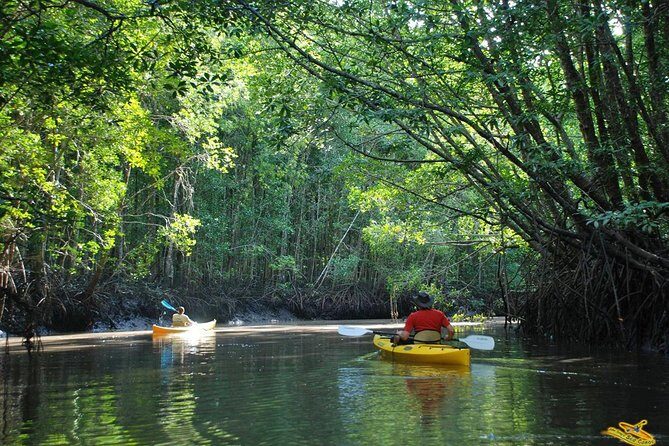 Phang Nga Bay Starlight by John Gray Sea Canoe - Final Thoughts