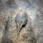 Phi Phi + James Bond Island Day Tour by Speed Catamaran - What’s Included and What’s Not