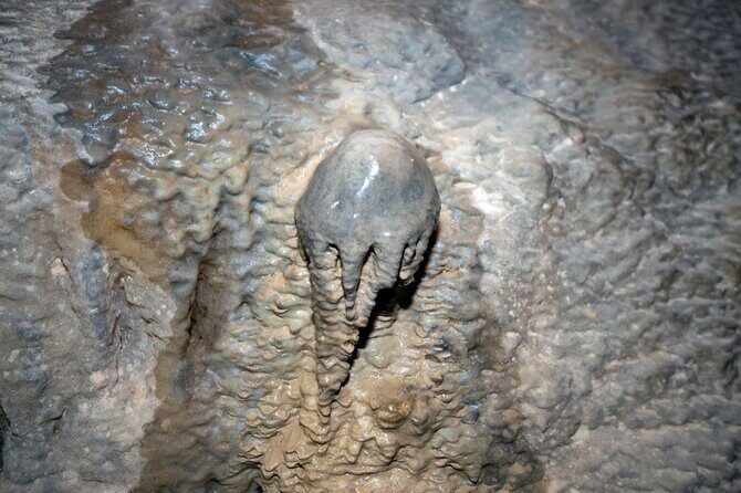 Phi Phi + James Bond Island Day Tour by Speed Catamaran - What’s Included and What’s Not