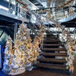 Philadelphia Christmas Day Buffet Cruises Brunch or Dinner - An In-Depth Look at the Philadelphia Christmas Day Cruises