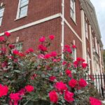 Philadelphia: Women of the Revolution Walking Tour - Exploring the Heart of Revolutionary Philadelphia: A Practical Overview