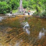 Phnom Kulen National Park Ticket Delivery Service - What to Expect on the Day